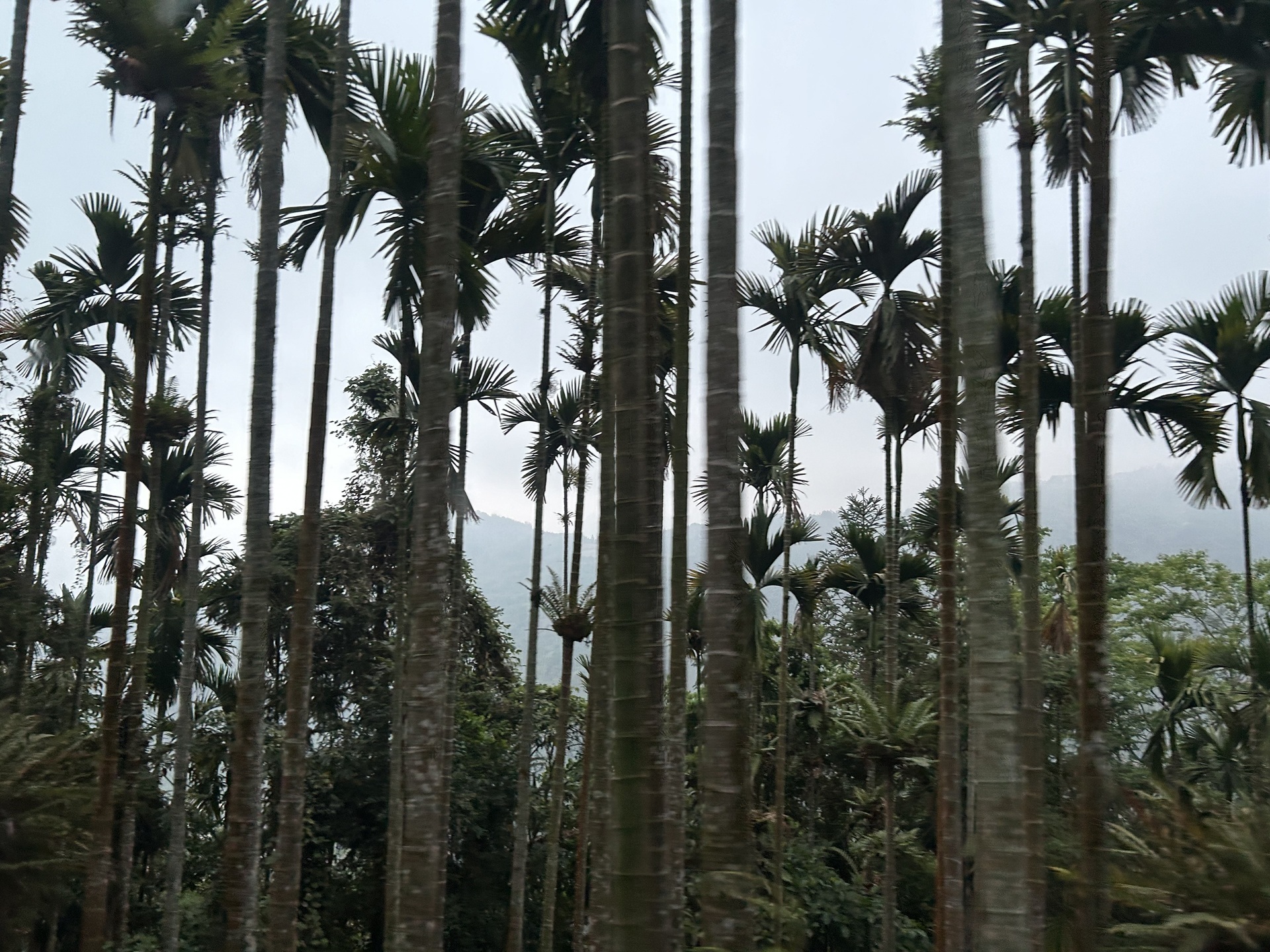 またまた来たよ，台湾 059 Kiss: 春夏秋冬